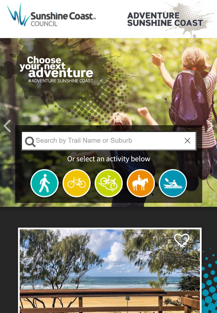 Developer/Analyst - DI Team