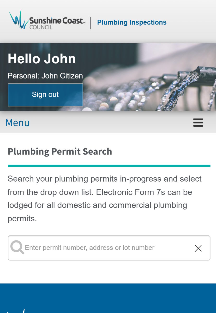 Developer/Analyst - DI Team